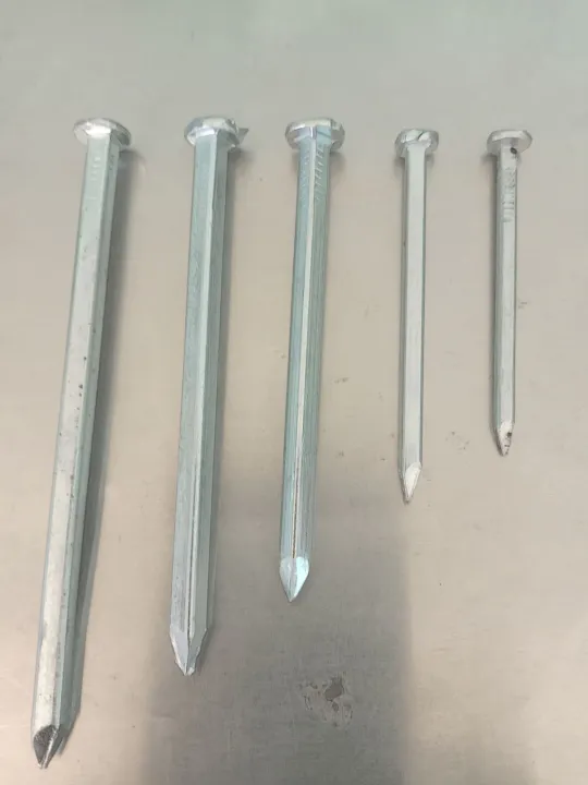 PAKU PUTIH PAKU KAPAL PAKU PERAHU 1 KG | Lazada Indonesia