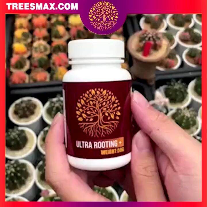 [[Flash sale] Combo 3 get 1 Free Ultra rooting - Special rooting powder ...