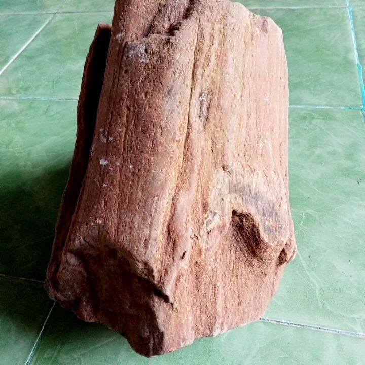 BATU ALAM,BATU FOSIL KAYU,BATU KAYU,BATU DUA WARNA COKLAT TUA& UNGU,,BATU ANDESIT,BATU ...