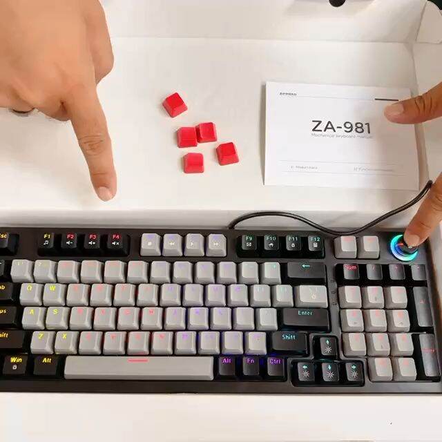 ZIFRIEND ZA-981 Mechanical Keyboard Blue Red Switch Wired 98 Keys RGB ...