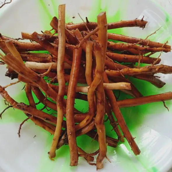 Akar pohon aren banyak khasiat 1kg | Lazada Indonesia