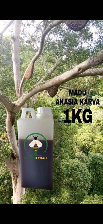 Madu asli akasia carva 1 kg | Lazada Indonesia