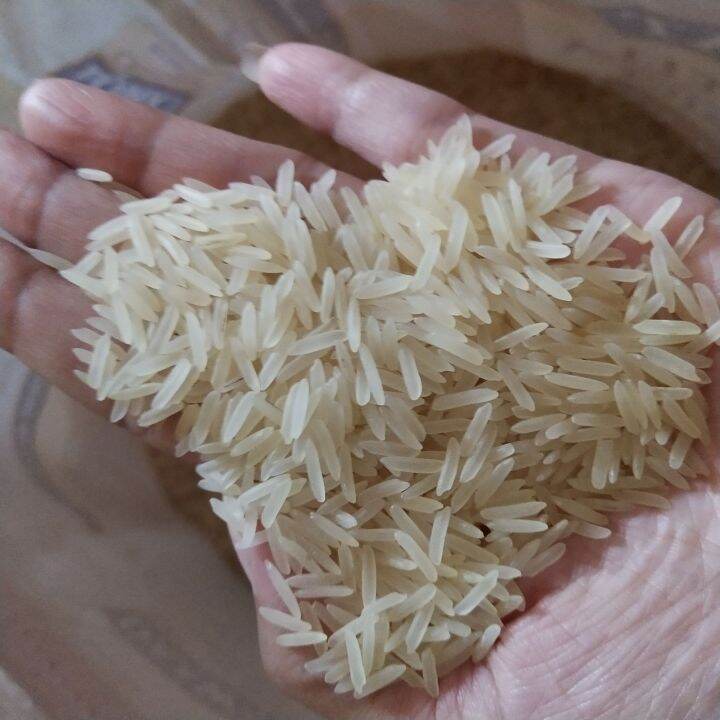 Beras Basmati creamy sella / Beras Arab 2 kg / beras basmati Arab 2kg ...