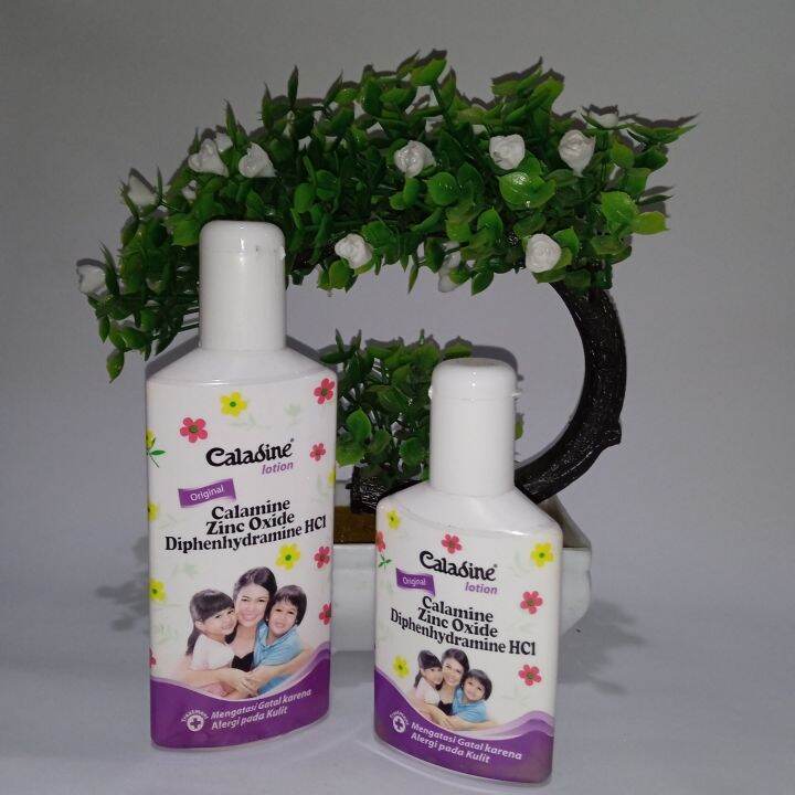 Caladine Lotion Original 60 ml dan 95 ml | Lazada Indonesia