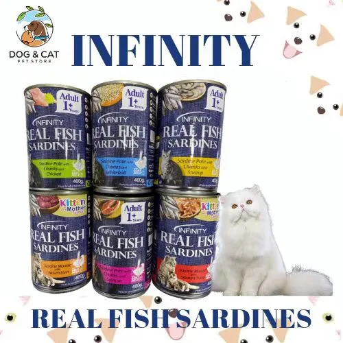 Infinity Cat Food Can 400G | Lazada PH