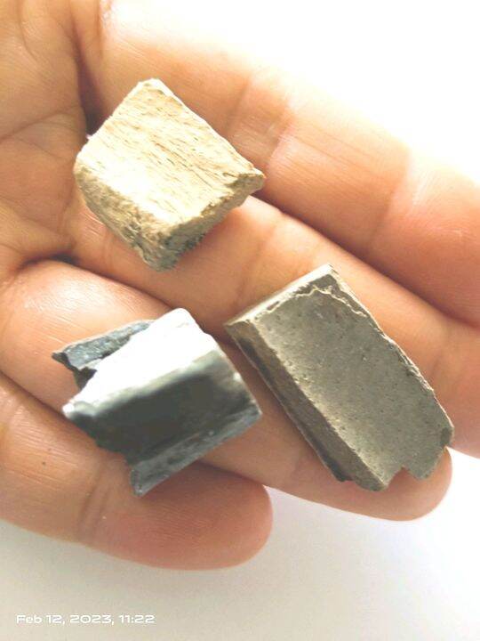 1 PIECE Sinunog na Sungay ng Usa Tandok Tambal | Lazada PH