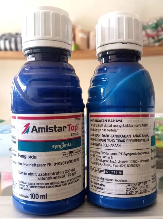 FUNGISIDA AMISTAR TOP AMISTARTOP 325 SC SYNGENTA 100 ML | Lazada Indonesia