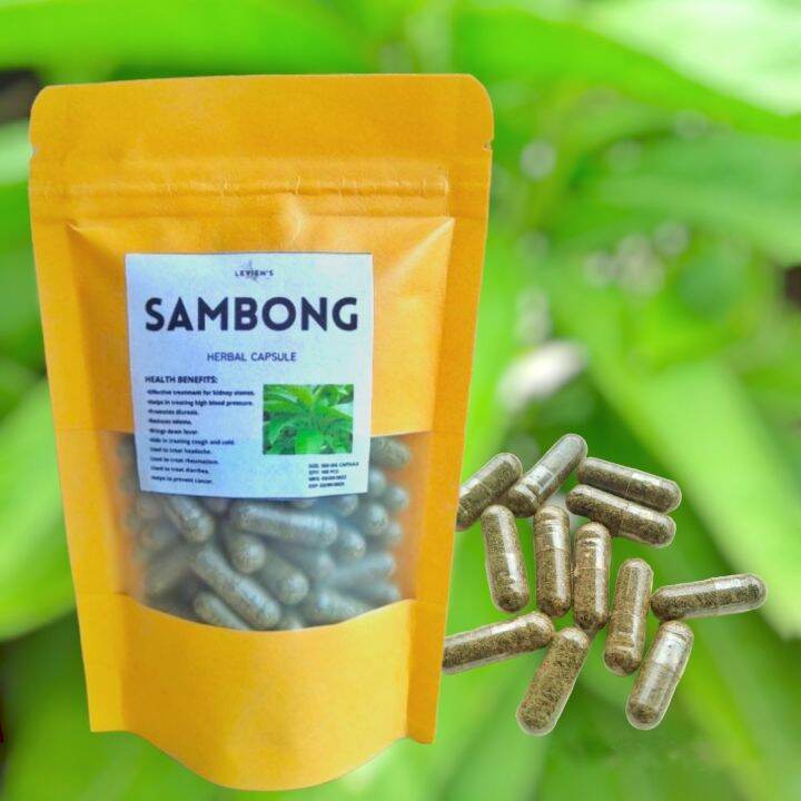 SAMBONG CAPSULES 100mg 100 pcs | Lazada PH