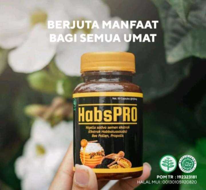 HabsPro Obat Herbal Isi 50 Kapsul BPOM Obat Obatan Tradisional | Lazada ...