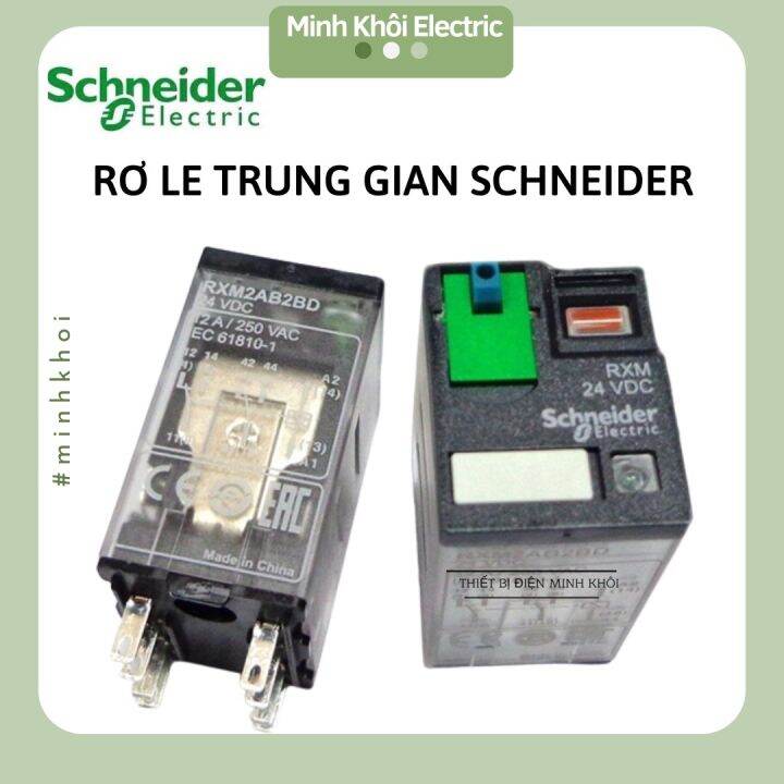 Rơ Le Trung Gian Schneider Kèm Đế 8 chân và 14 chân RXM4LB2P7, Relay Schneider 220V,24V,12V ...