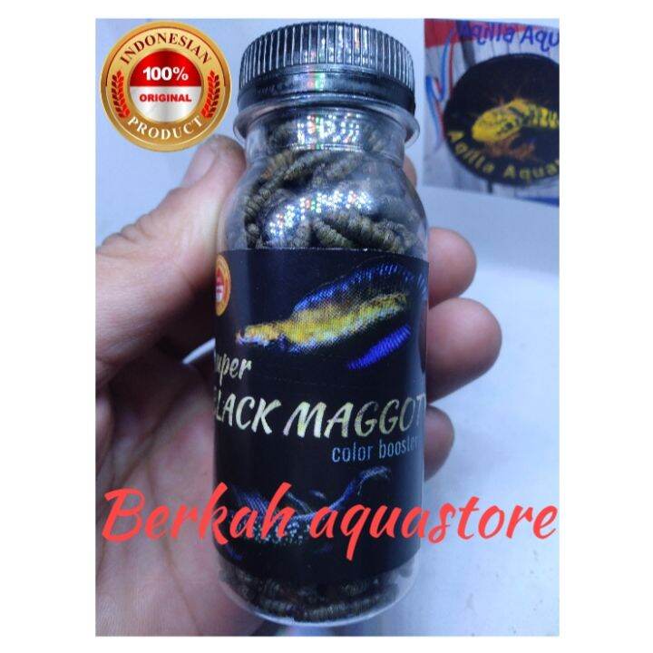 maggot bsf kering super black maggot | Lazada Indonesia