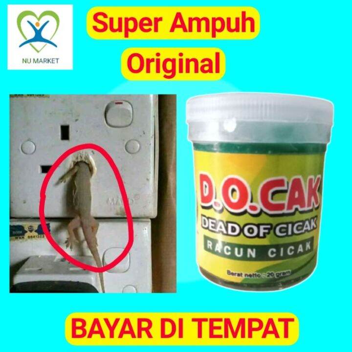 RACUN CICAK PALING AMPUH MATI DI TEMPAT PEMBASMI CICAK OBAT CICAK ...