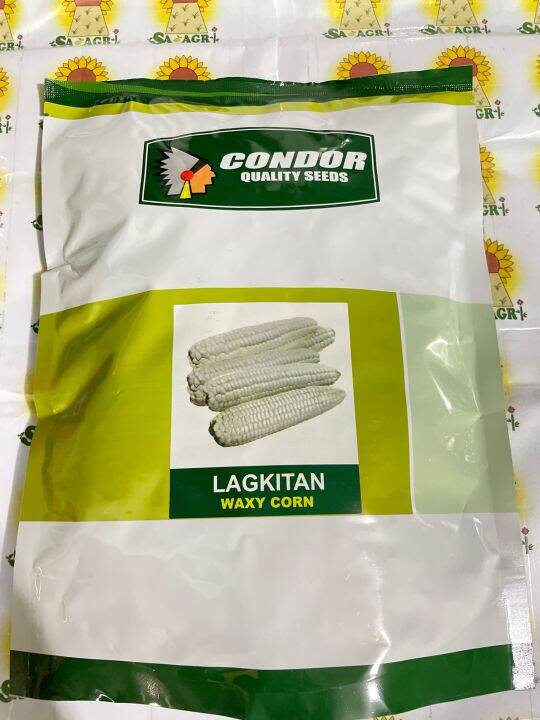 Lagkitan Waxy Corn Seeds ( 1 kilo) Condor | Lazada PH