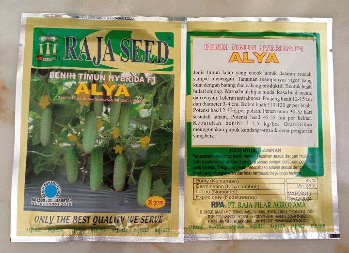 BENIH TIMUN HYBRIDA F1 ALYA 20 GRAM RAJA SEED | Lazada Indonesia