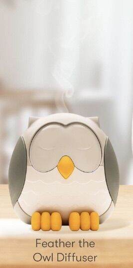 Feather the Owl Diffuser | Lazada PH