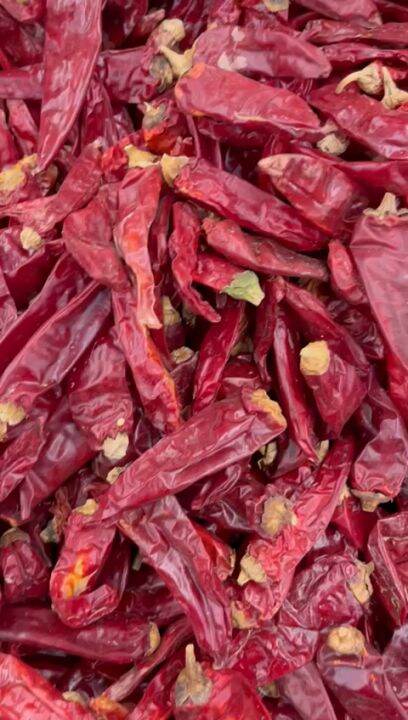 Lada Kering Gemuk /Cili Tak Pedas 500G/1KG | Lazada