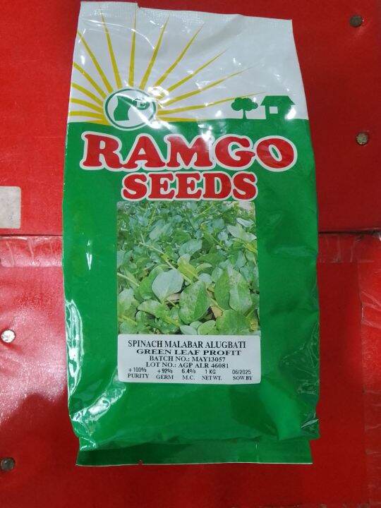 SPINACH MALABAR ALUGBATI GREEN LEAF PROFIT(1 KILO )RAMGO SEEDS | Lazada PH