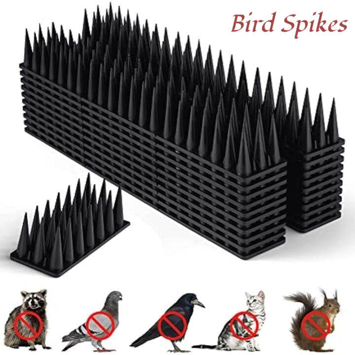 Bird Spikes for Outside Bird Deterrent Spikes for Small Robin Pigeon Squirrel Raccoon Crow Cats ...