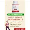 ECOFIT SLIMMING CAPSULE - Trusted In Slimming Industry, Body Slimming ...