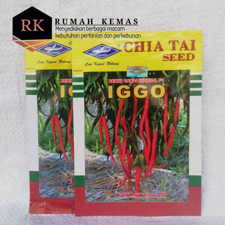 Benih Cabai Keriting Hibrida F1 IGGO Cabe Merah Cap Kapal Terbang | Lazada Indonesia