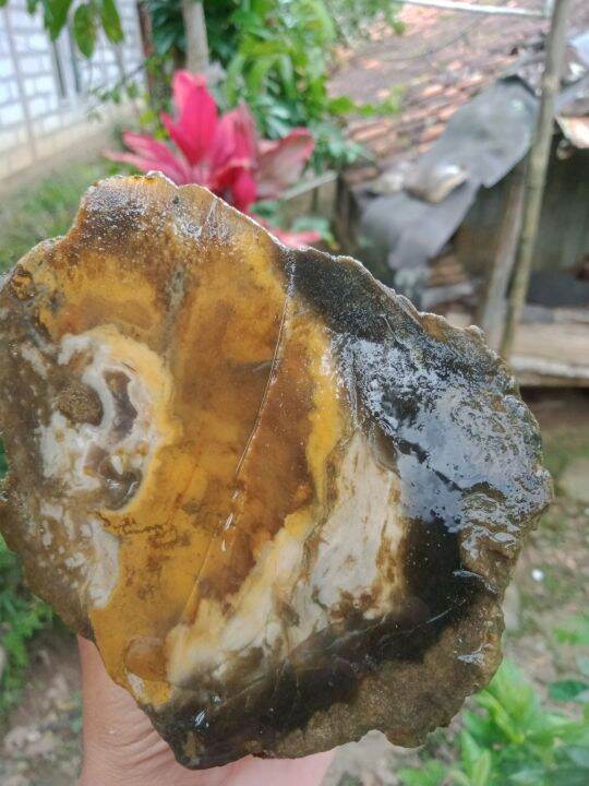 FOSIL KAYU BERMOTIF KRISTAL UNIK 2KG | Lazada Indonesia