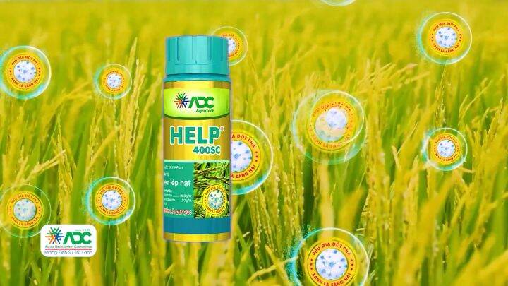 HELP 400SC (250mL) trừ Lem lép hạt, đạo ôn, khô vằn, thán thư trên lúa ...