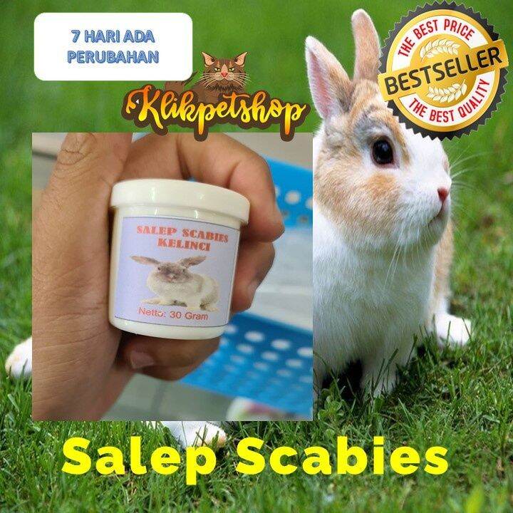 Salep Scabies Kelinci 30 Gram Jamur Koreng Kudis | Lazada Indonesia
