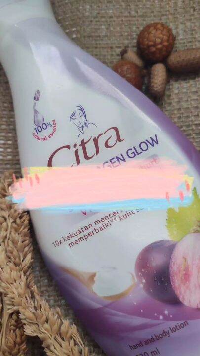 Citra Night Collagen Glow Hand & Body Lotion 210ml minyak biji anggur ...