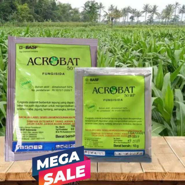 Fungisida ACROBAT 50 WP (40gr) | Lazada Indonesia