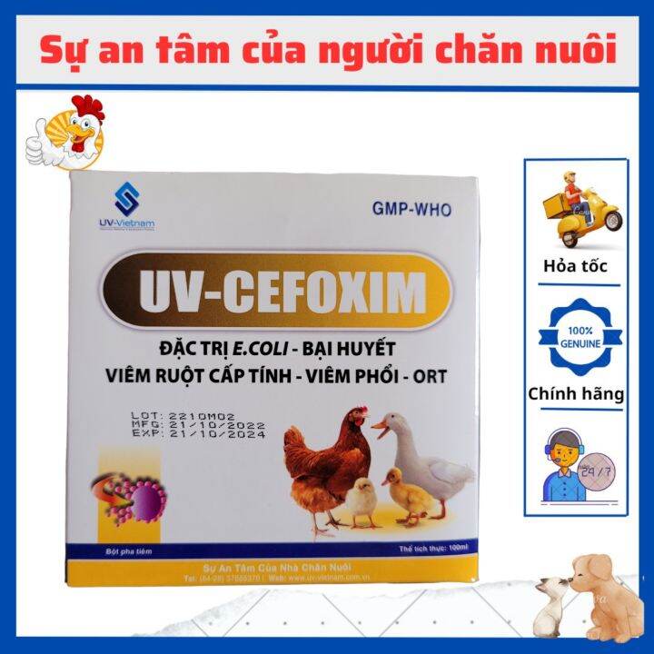 [Thú Y] CEFOXIM 100ml: đặc trị Ecoli, bại huyết, viêm ruột, viêm phổi ...