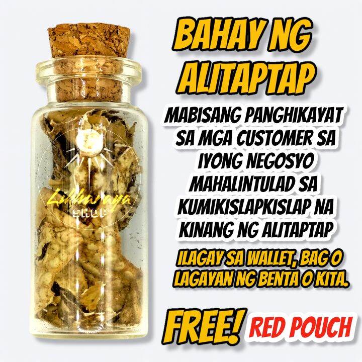 【🔥BEST SELLER🔥】LUCKY CHARM BAHAY NG ALITAPTAP sa Botelya LuckyCharm ...