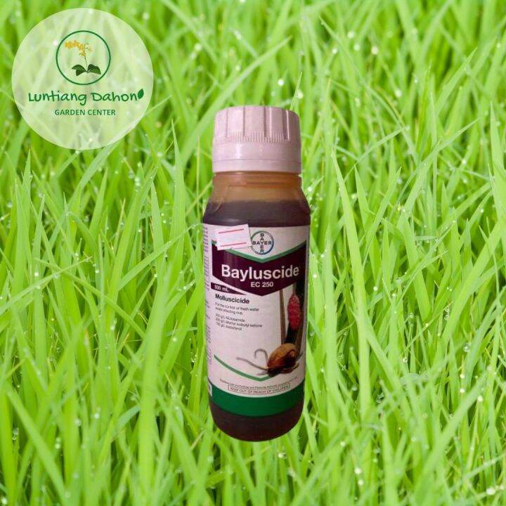 BAYLUSCIDE EC250 MOLLUSCICIDE | 500ML | Lazada PH