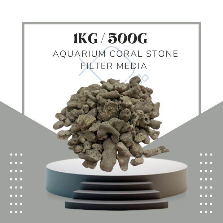 Aquarium Coral Stone Filter Media For Marine Fish Tank | Lazada
