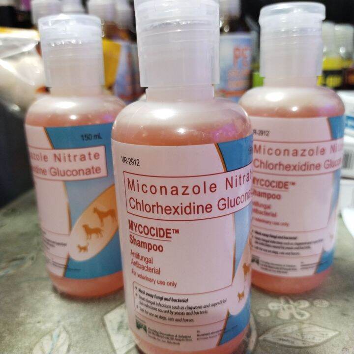 Mycocide Anti Fungal Anti Bacterial Shampoo 150ml | Lazada PH