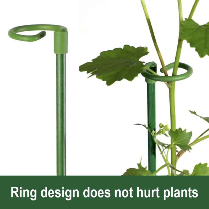 30cm/60cm Plant Support Rod 10PCS/Set Flower Plant Climbing Frame Plant ...