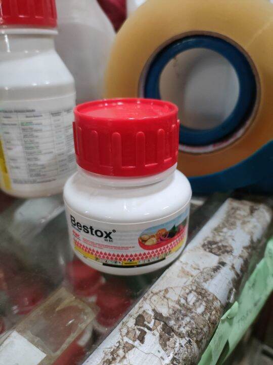 Insektisida Bestox 50 EC 80 ml Pembasmi Lembing Batu | Lazada Indonesia
