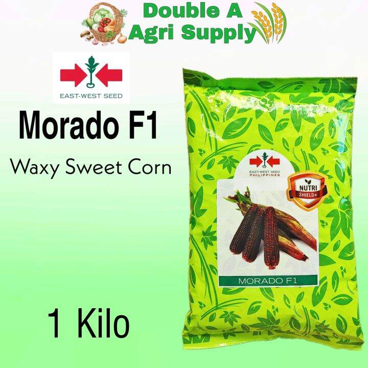Morado F1 Waxy Sweet Corn - East West Seed | Lazada PH