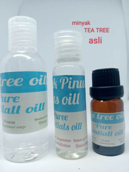 Minyak TEA TREE ASLI kemasan 10 ml - 100 ml | Lazada Indonesia