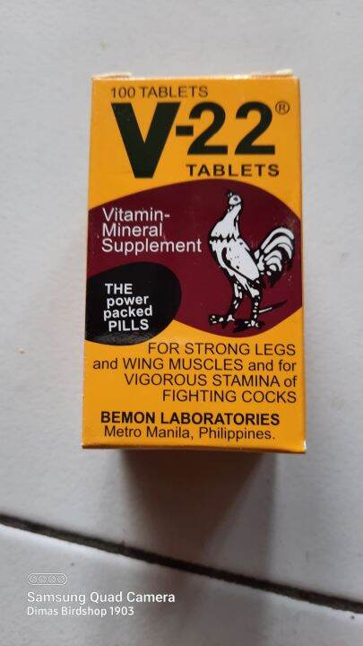 V22 TABLETS Vitamin mineral suplement | Lazada Indonesia