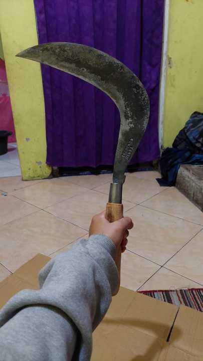 Sabit Rumput ukuran besar baja isen asli wonosobo | Lazada Indonesia