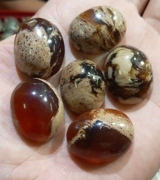 Lepasan Batu getah pohon 🌲 katilayu(mancing) super keristal Qualiti ...