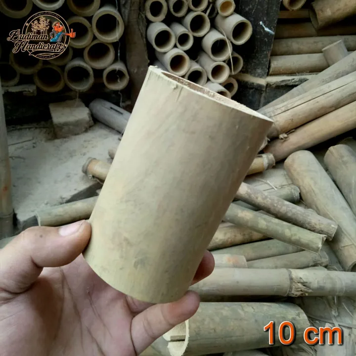 Potongan Bambu Uk 10 cm | Lazada Indonesia