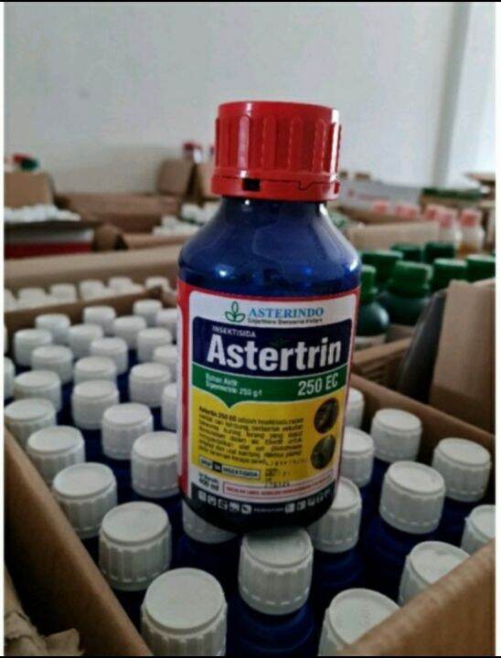 Astertrin insektisida 400ml | Lazada Indonesia