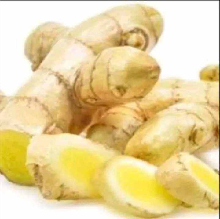 TEMU MANGGA SEGAR ( KUNYIT MANGGA/CURCUMA ZEDOARIA 225gr | Lazada Indonesia