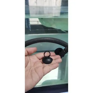 Hose Holder Suction Cup | Lazada PH