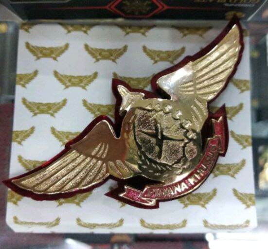 Wing bidang Pidsus WING BIDANG PIDANA KHUSUS Kejaksaan | Lazada Indonesia Wing bidang Pidsus WING BIDANG PIDANA KHUSUS Kejaksaan | Lazada Indonesia