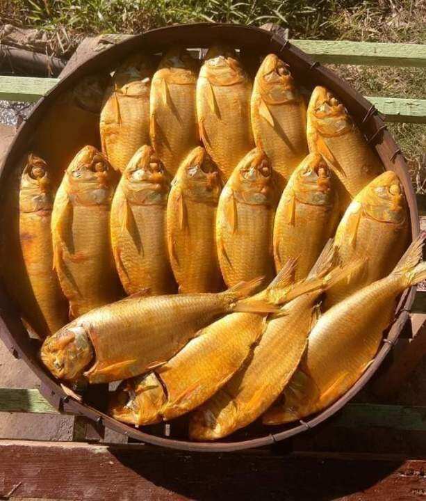 Tinapang Kabasi Tinapa from Bataan P250/kilo vacuumed sealed | Lazada PH