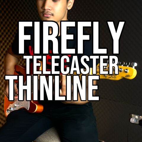 Firefly FFTH Thinline Telecaster Semi-Hollow Electric Guitar with bag ...