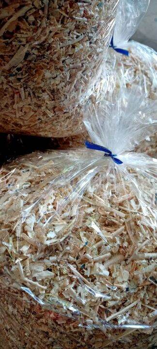 kusot for hamster | Lazada PH