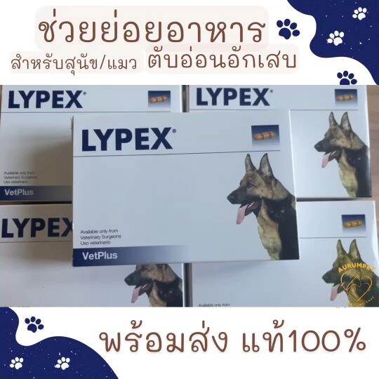 (พร้อมส่ง) Lypex for dog and cat Exp. 01/2024 | Lazada.co.th